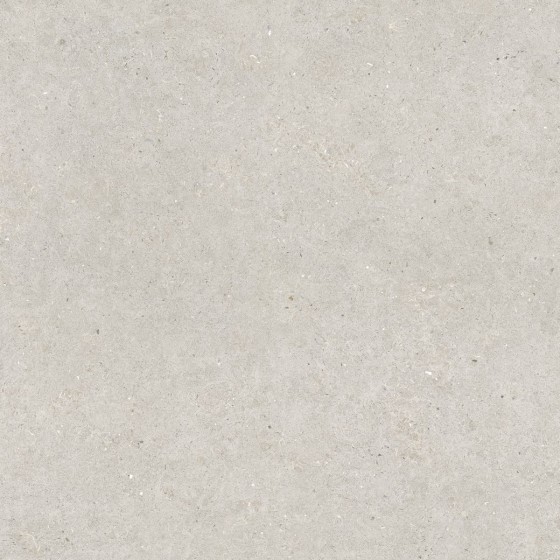 Fossil Light Porcelain Wall And Floor Tile 1200x1200mm | N&C Tiles and ...