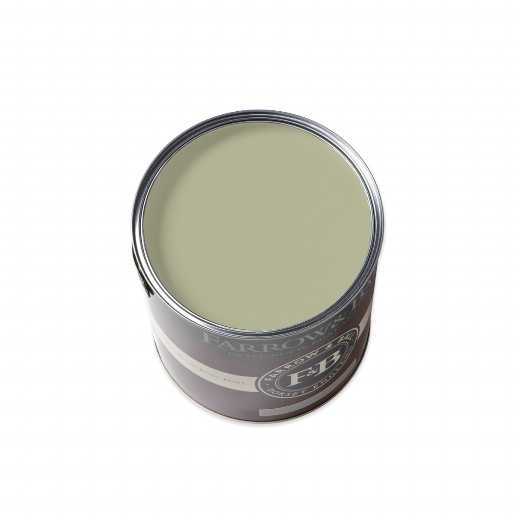 Farrow & Ball Paint 5l Limewash Cooking Apple Green No. 32 | N&C Tiles ...